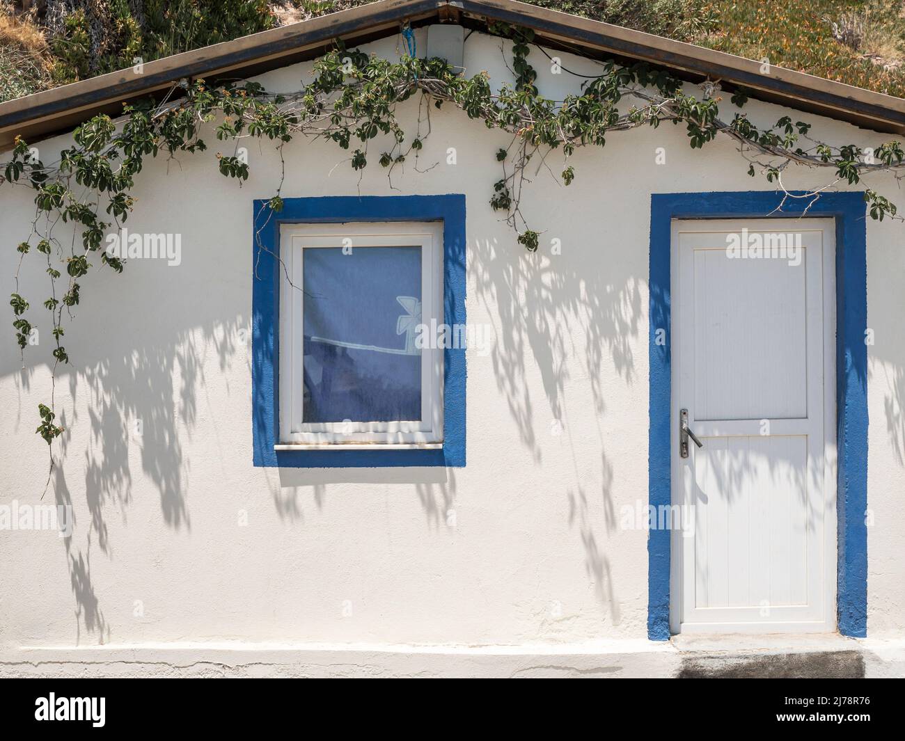 White building on the beach with minimalist architecture. Traditional ...