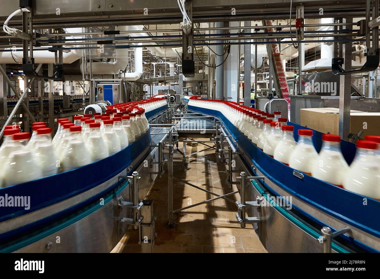 Plastic bottles filled with pasteurized milk on a factory conveyor ...