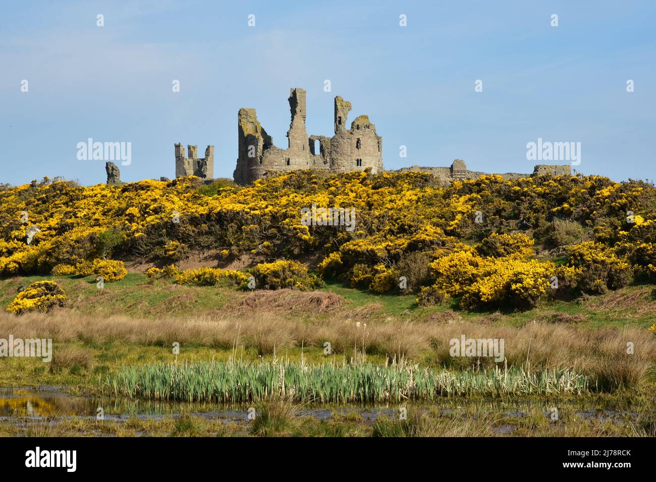 Dunstanburgh castle spring hi-res stock photography and images - Alamy
