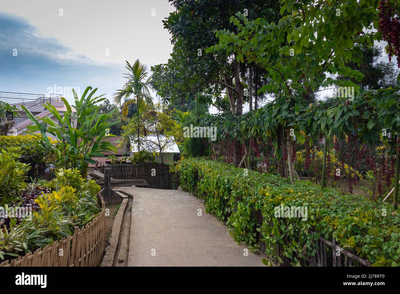 isolated tarmac village road with colorful tree at morning from flat ...