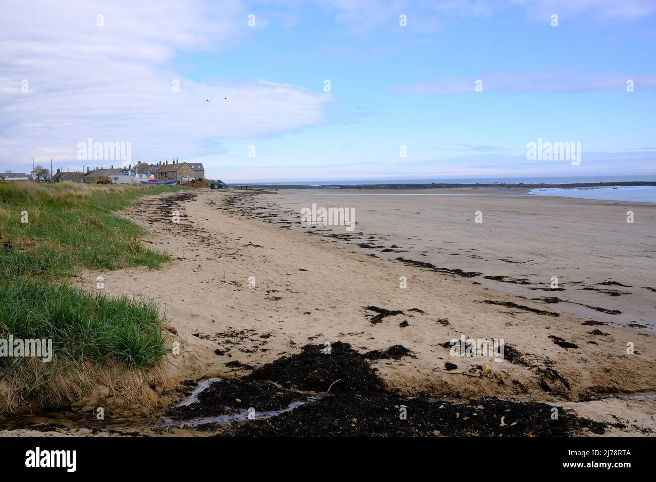 Boulmer beach hi-res stock photography and images - Alamy