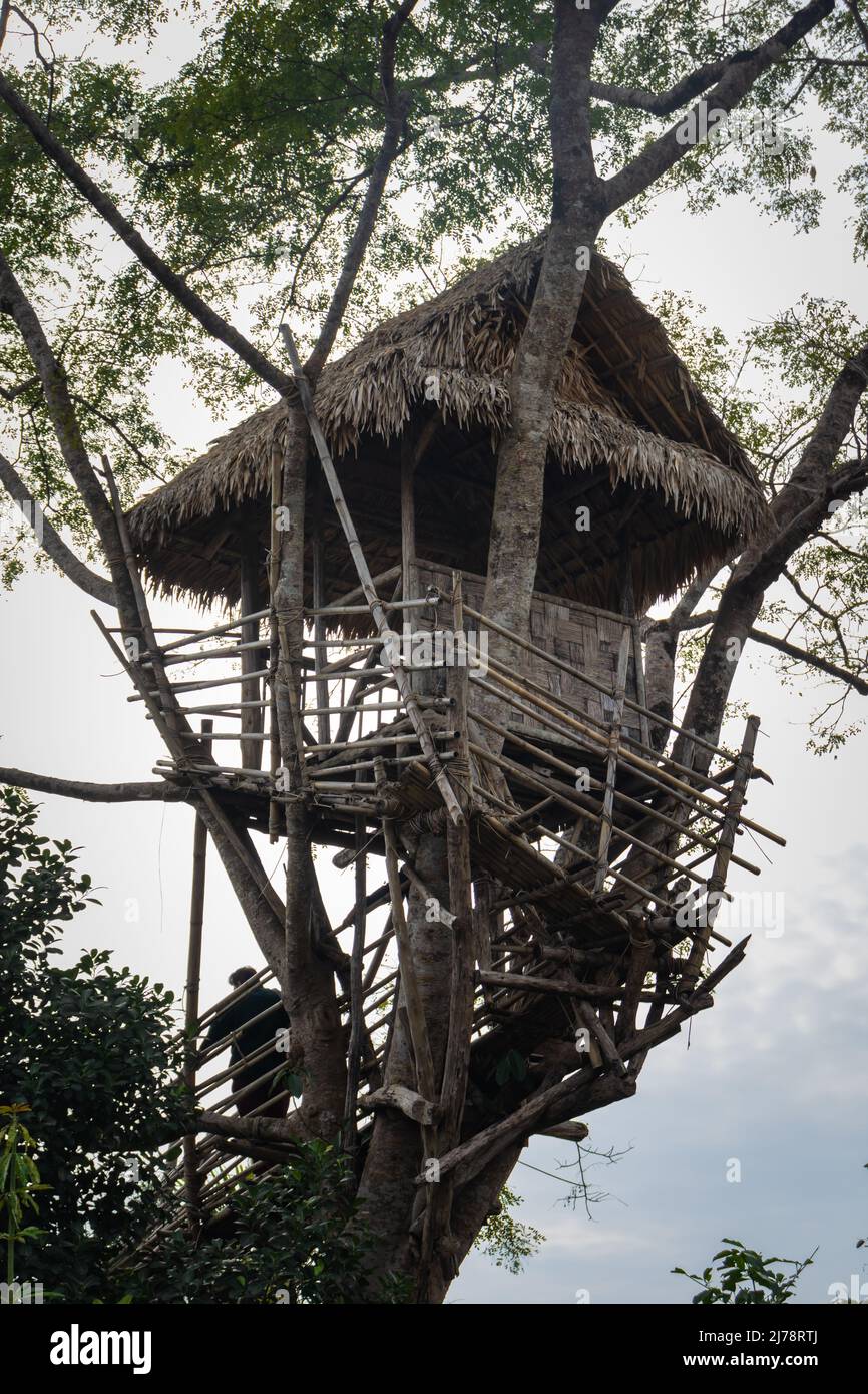 isolated tree house at tree top with flat sky at morning Stock Photo ...