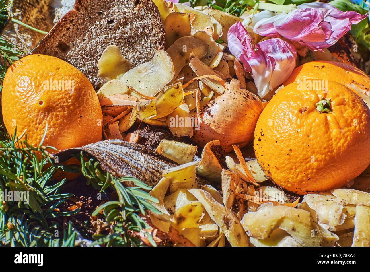 View into a bio container with various organic wastes for recycling ...