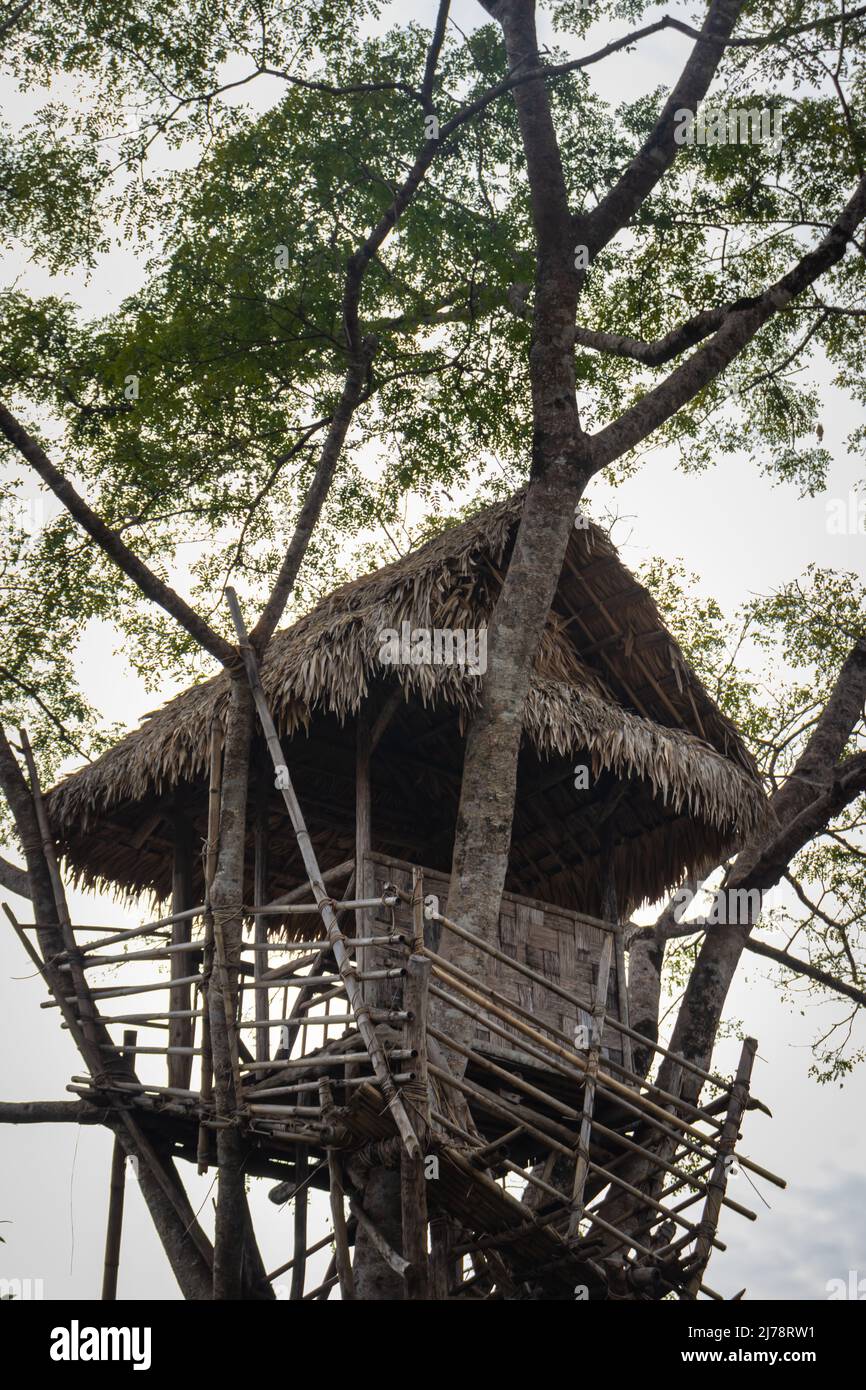 isolated tree house at tree top with flat sky at morning Stock Photo ...