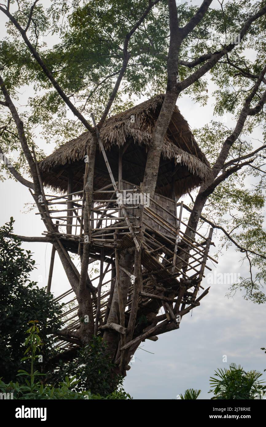 isolated tree house at tree top with flat sky at morning Stock Photo ...