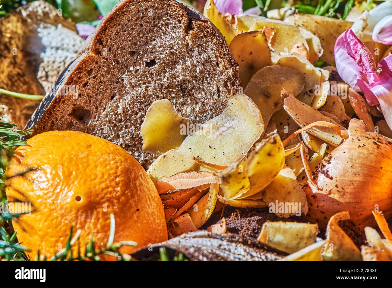 View into a bio container with various organic wastes for recycling ...