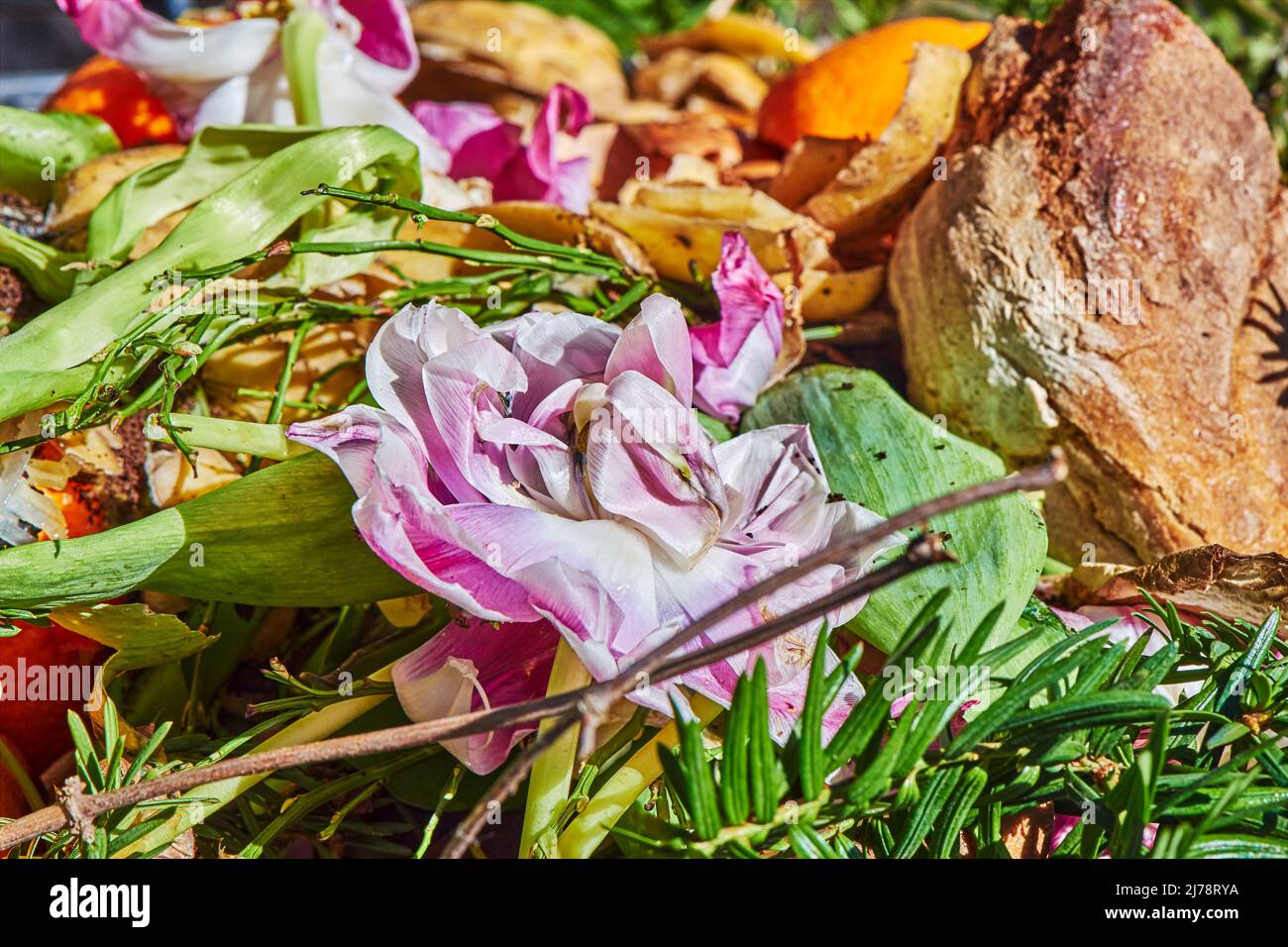 View into a bio container with various organic wastes for recycling ...