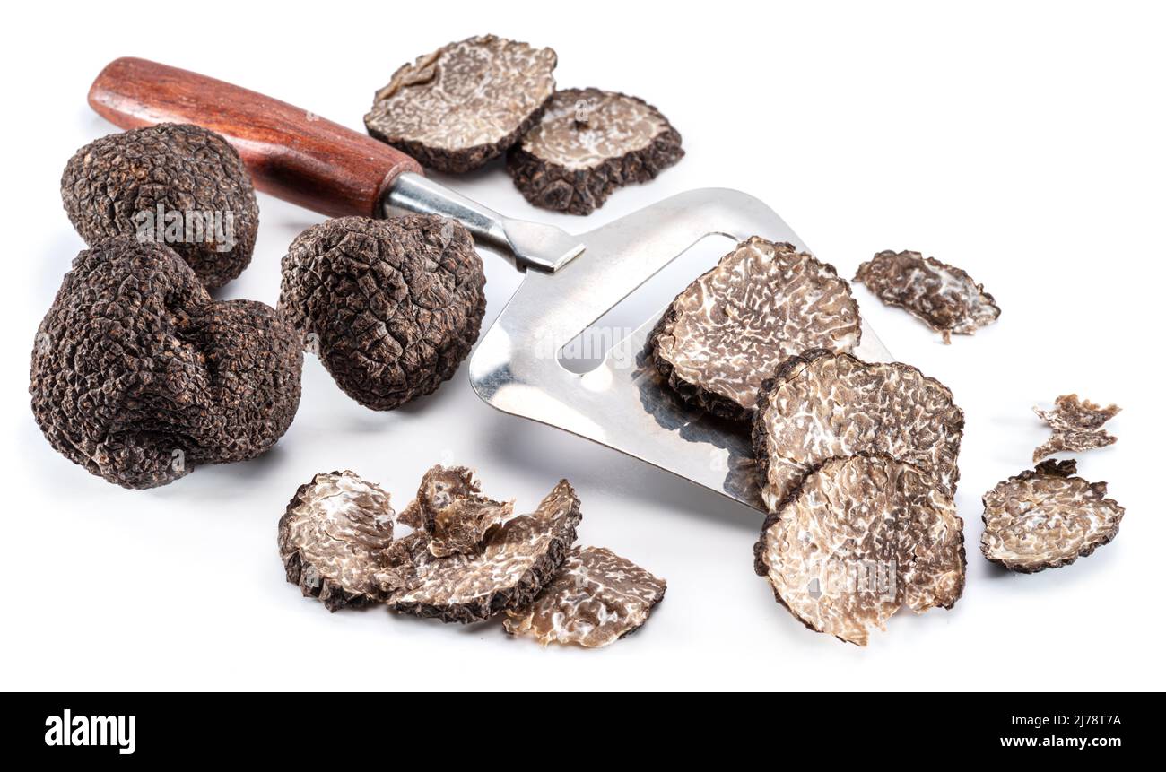 Black edible winter truffle on white background. The most famous of the ...