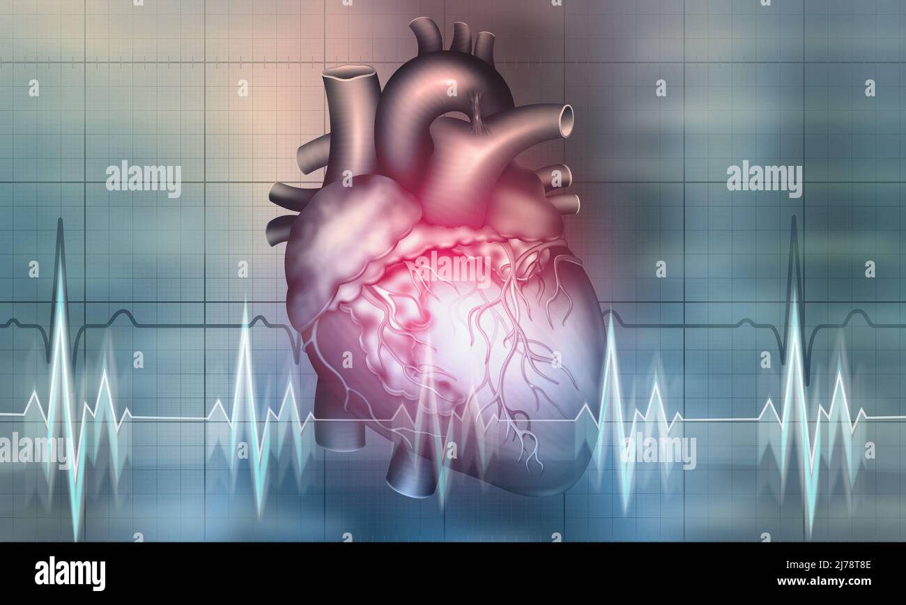 Cardiology. Healthy heart concept. Transplantology of internal organs ...