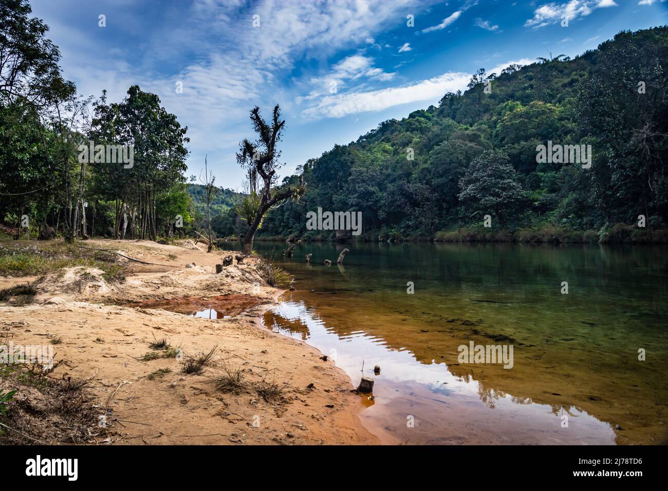river shore surrounded by dense green forests and blue sky with water ...