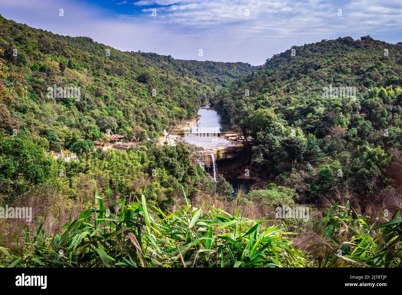 green forests with river flowing and bright blue sky at morning from ...