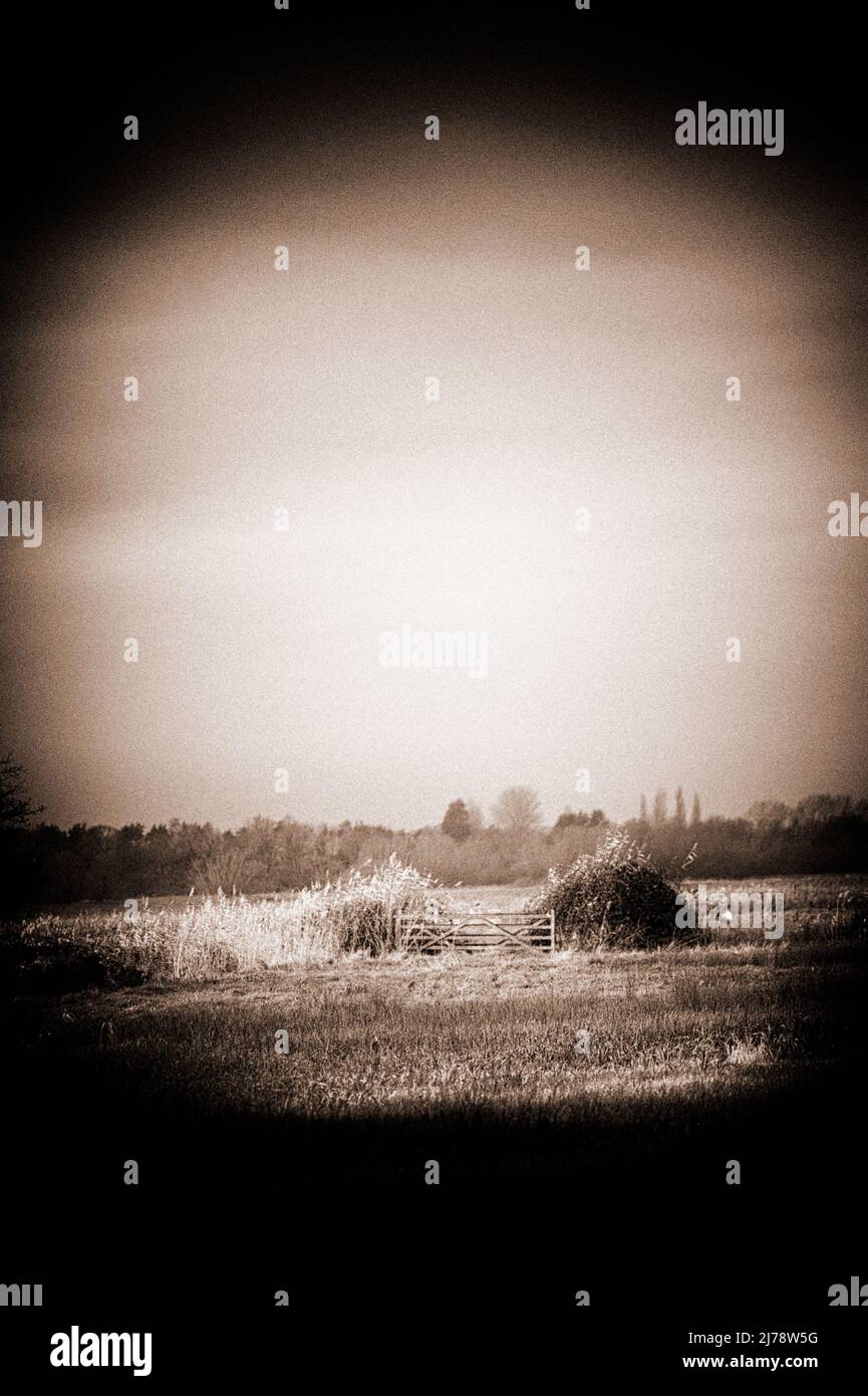 farm gate on carlton marshes oulton broad suffolk england Stock Photo ...