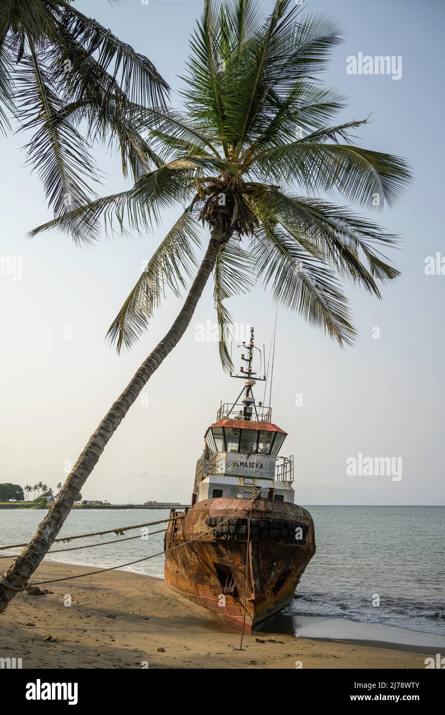 Stranded fishing boat on a sandy beach tied to a palm tree Stock Photo ...