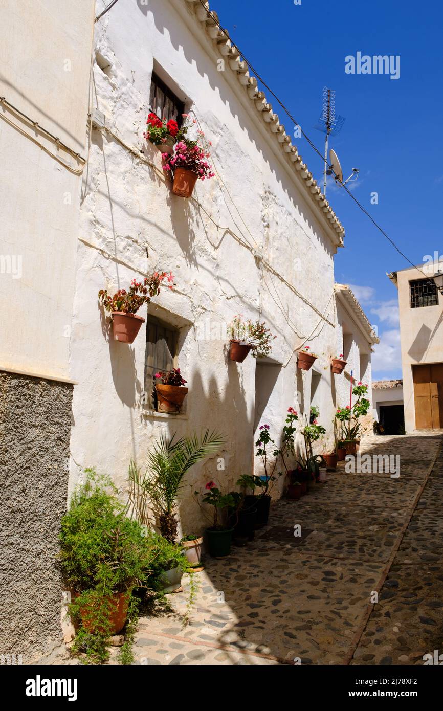 Street scenes in the traditional white village of Benamargosa in the ...