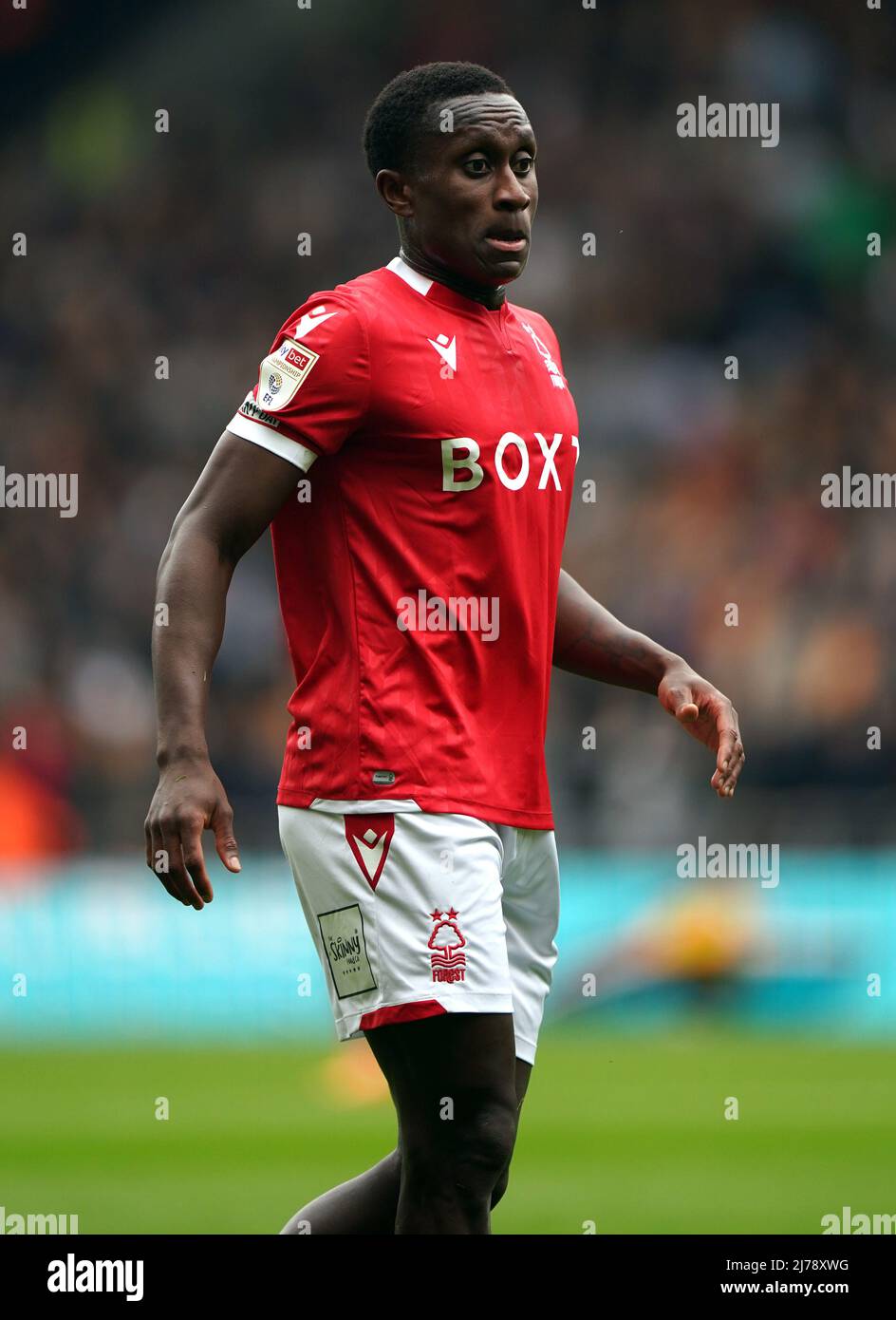 Richie laryea forest hi-res stock photography and images - Alamy