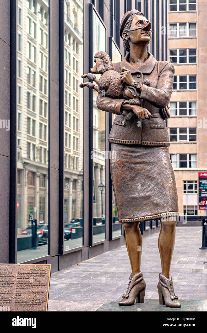 The english pug and the french poodle hi-res stock photography and ...