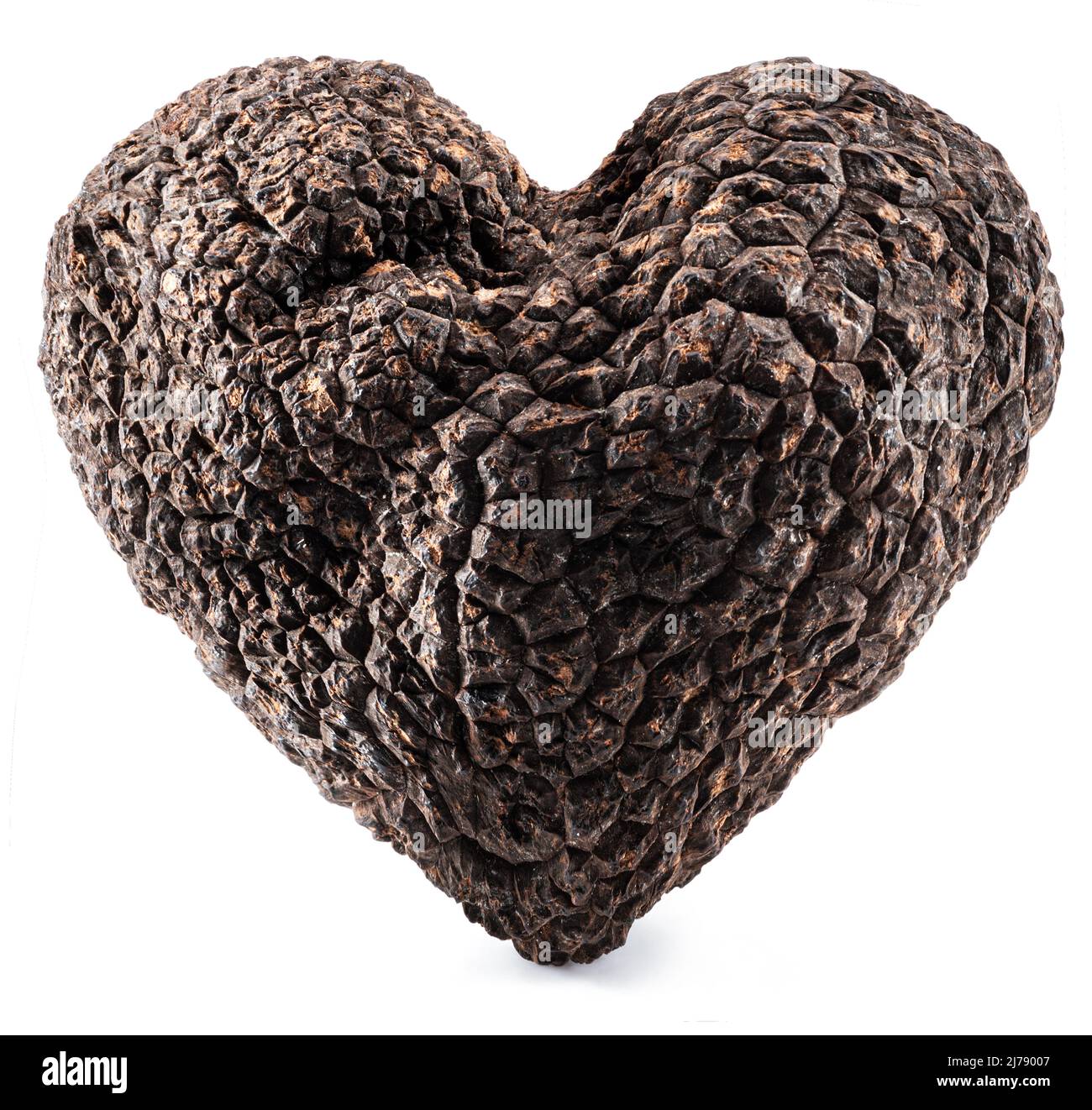 Black edible winter truffle in a shape of heart on white background ...