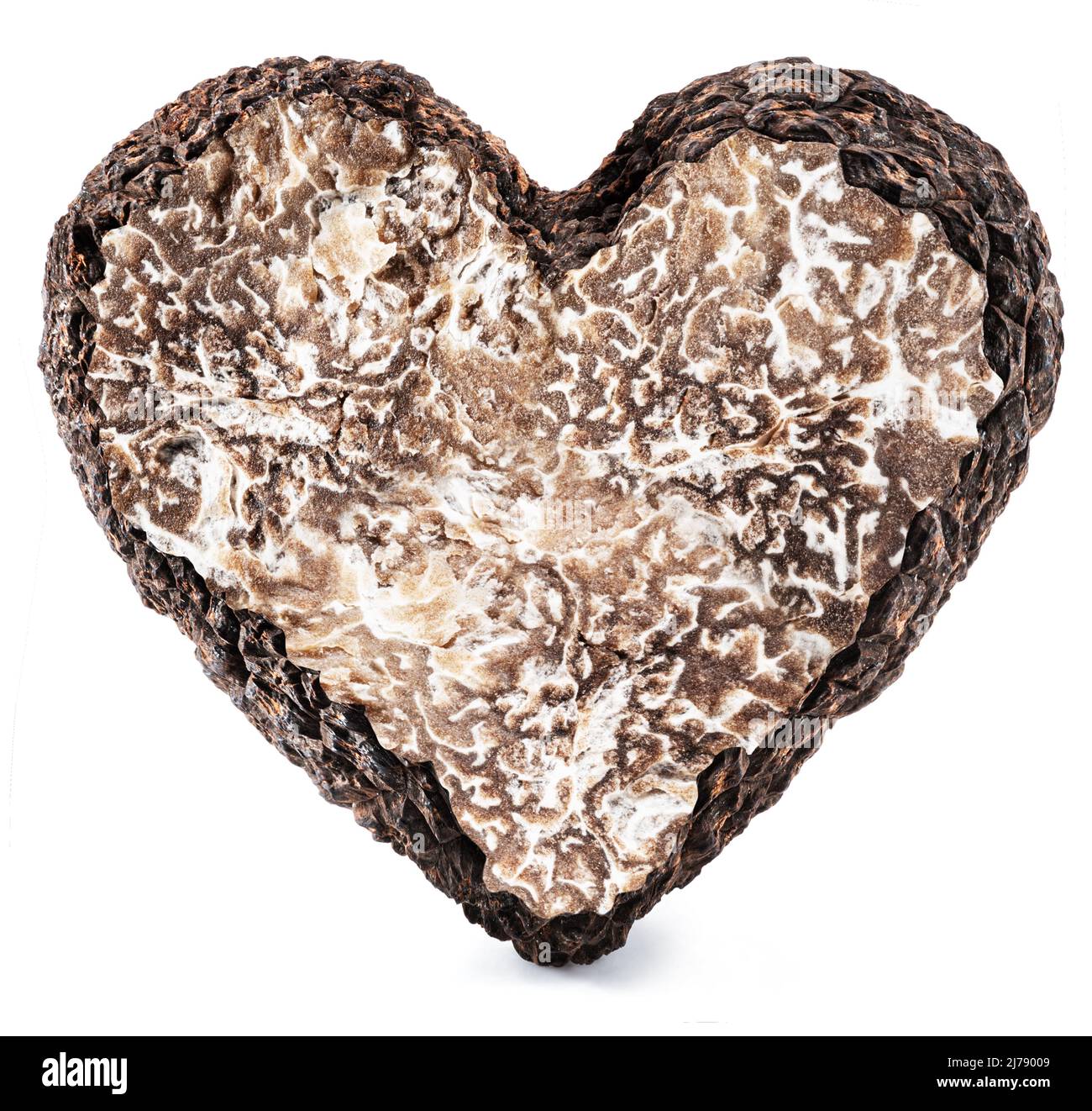 Black edible winter truffle in a shape of heart on white background ...
