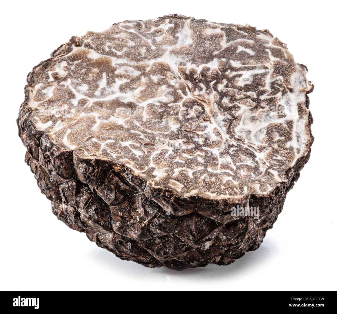 Cross section of black truffle, truffle structure, on white background ...