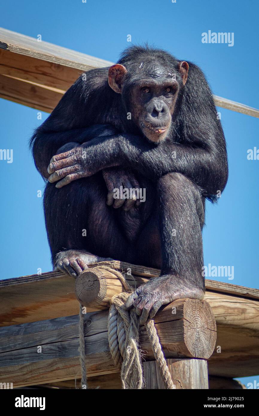 Alone sit hi-res stock photography and images - Alamy