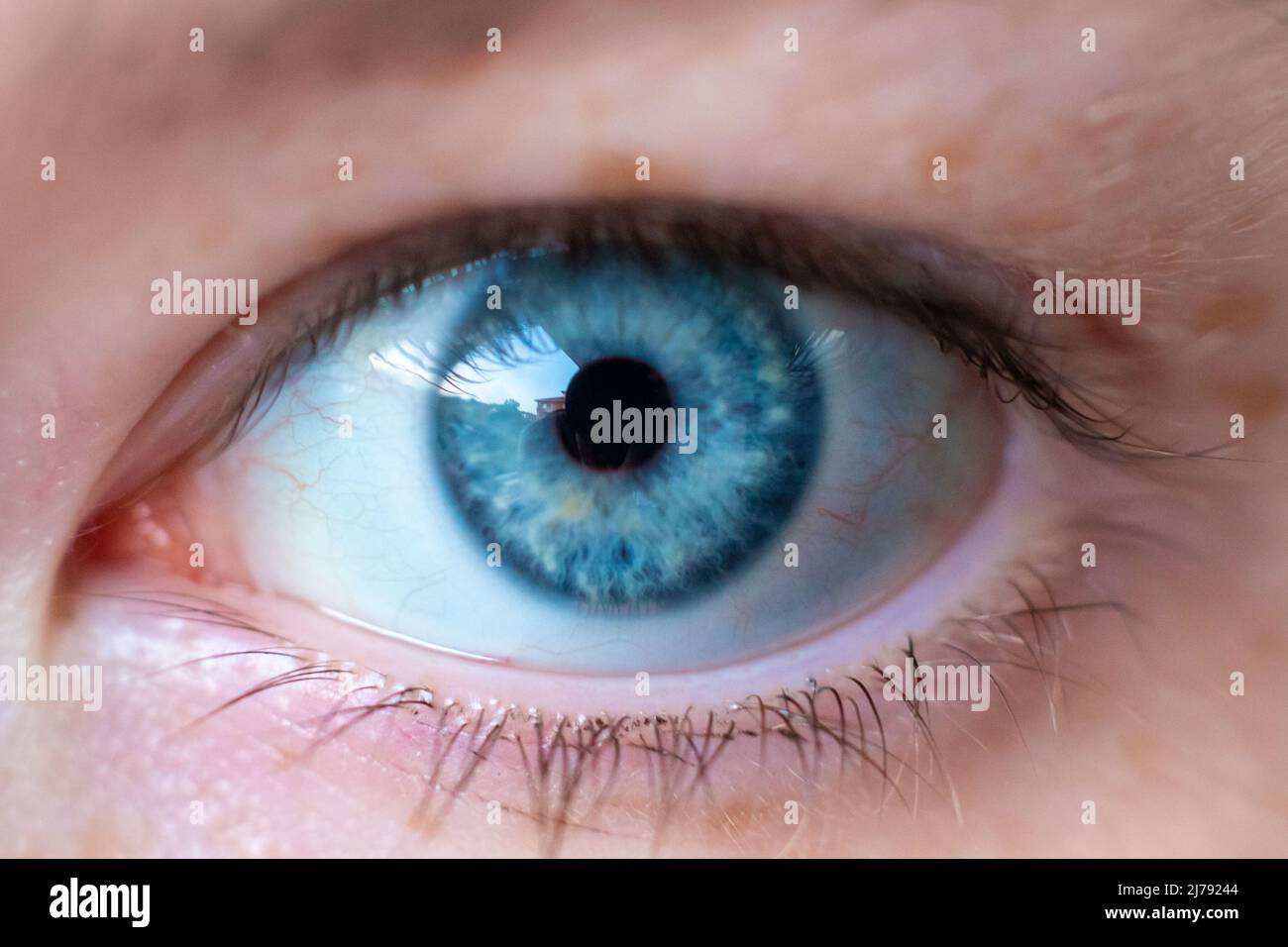 Blue eye macro Stock Photo - Alamy