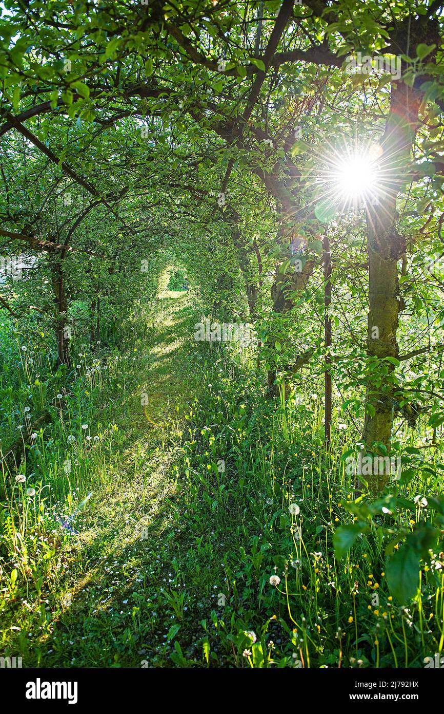 Monastery garden hi-res stock photography and images - Alamy