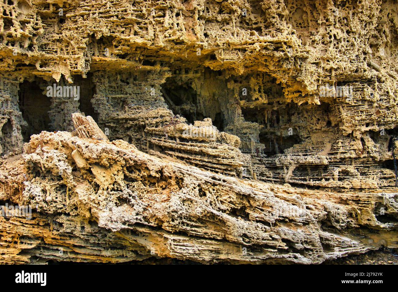 Mysterious erosion patterns in sandstone look like a fantasy ...