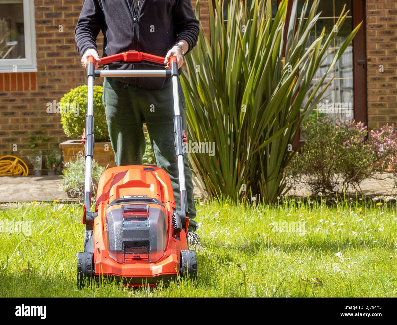 Male Gardener pushing a lithium ion battery powered Lawn Mower Stock ...