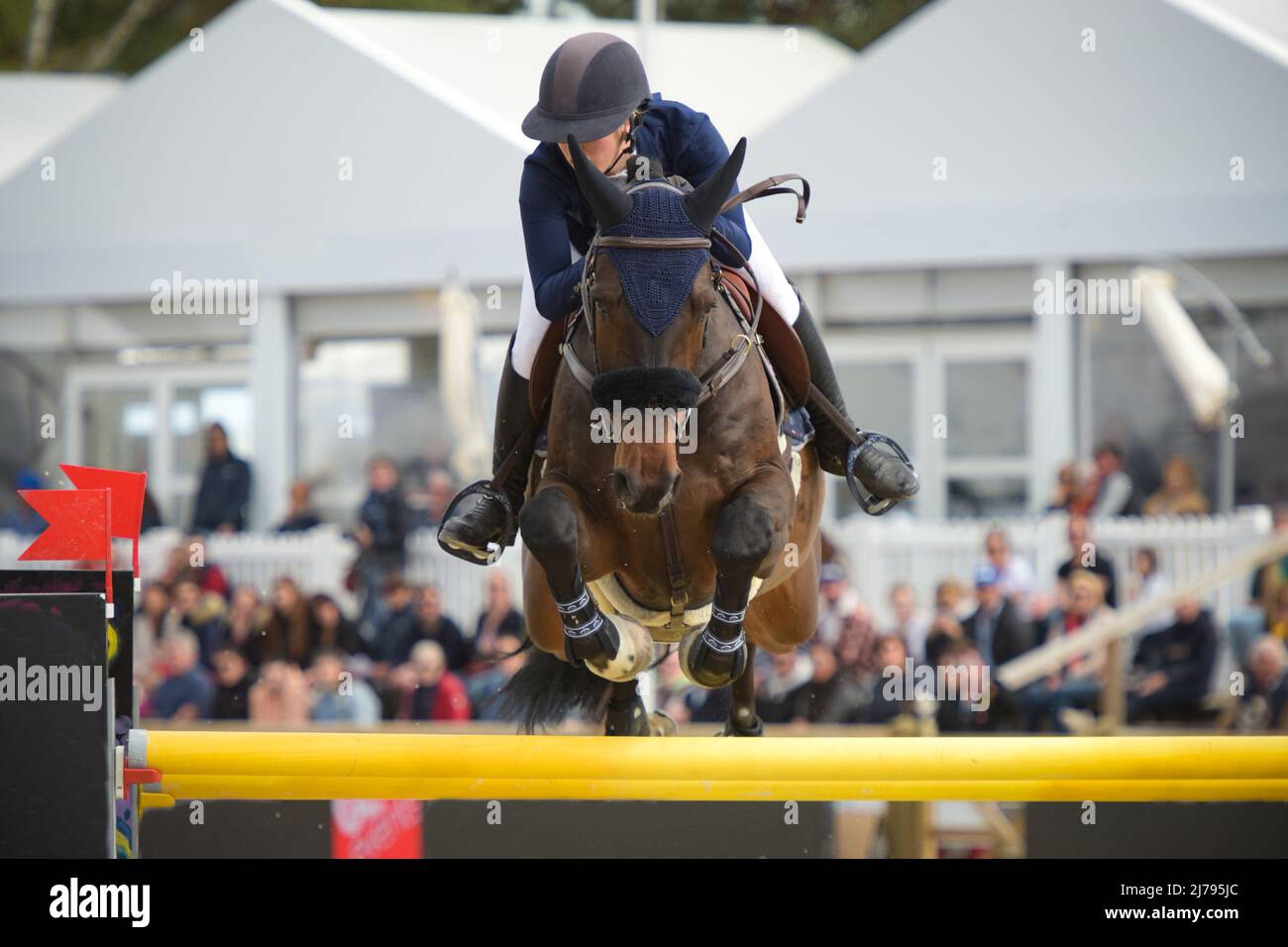 Equestrian show jumping competition hi-res stock photography and images ...