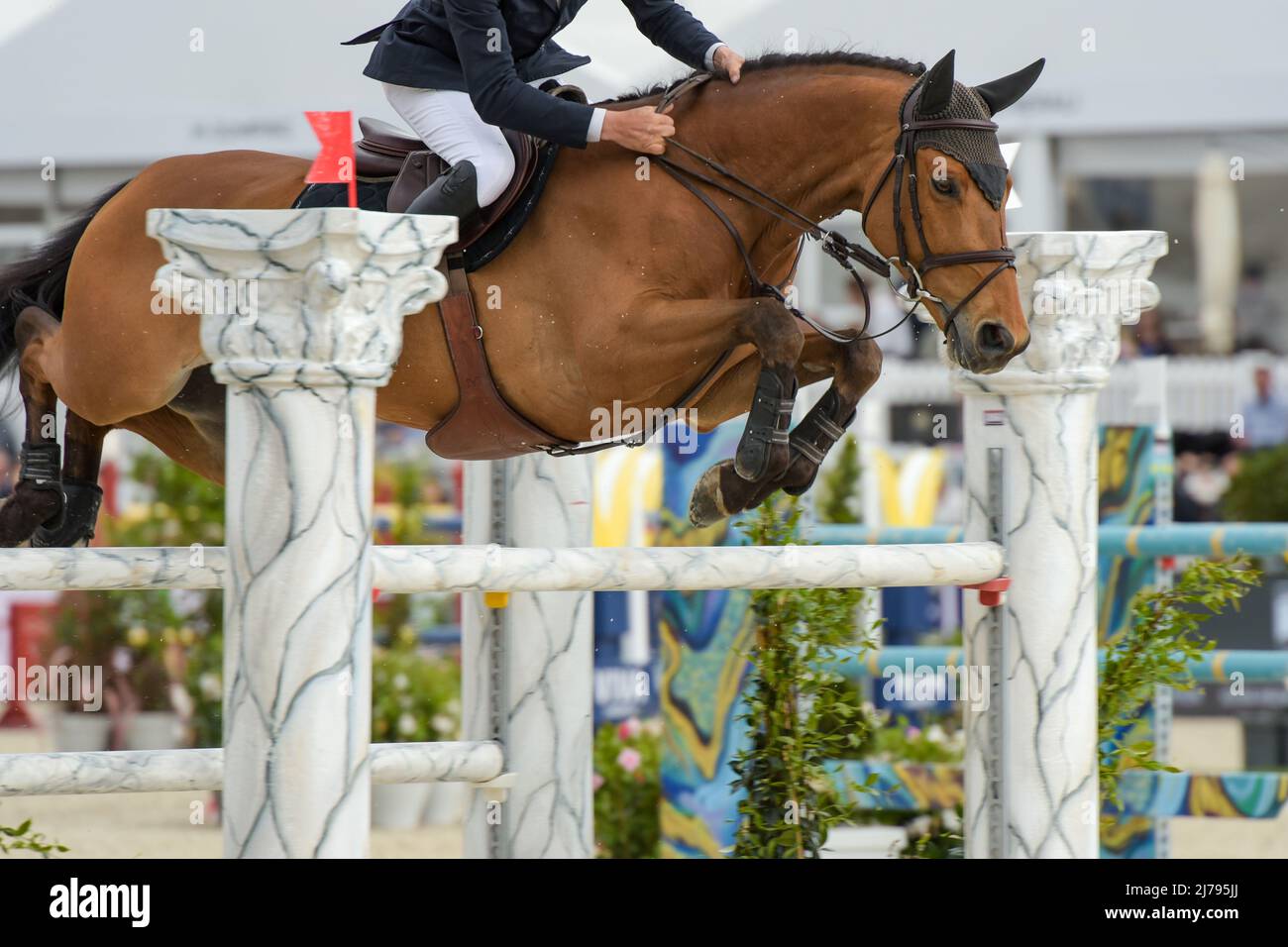 Equestrian show jumping competition hi-res stock photography and images ...