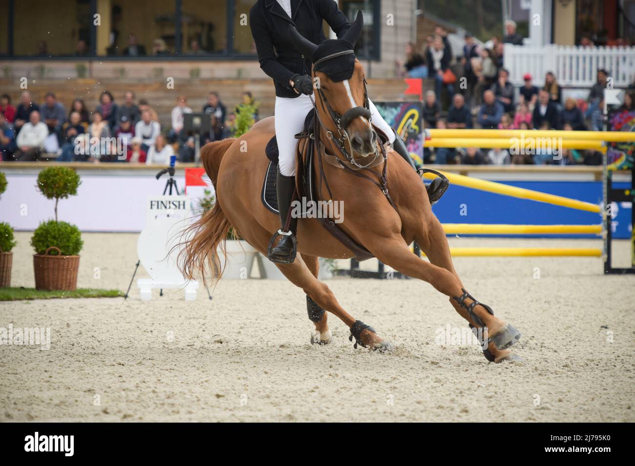 view on an equestrian show jumping competition in the city of ...