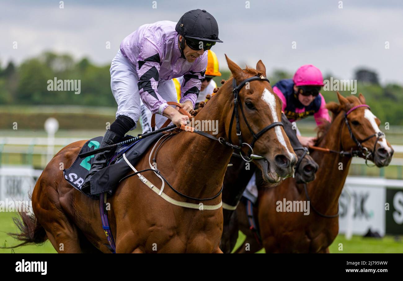 Dutch decoy horse hi-res stock photography and images - Alamy