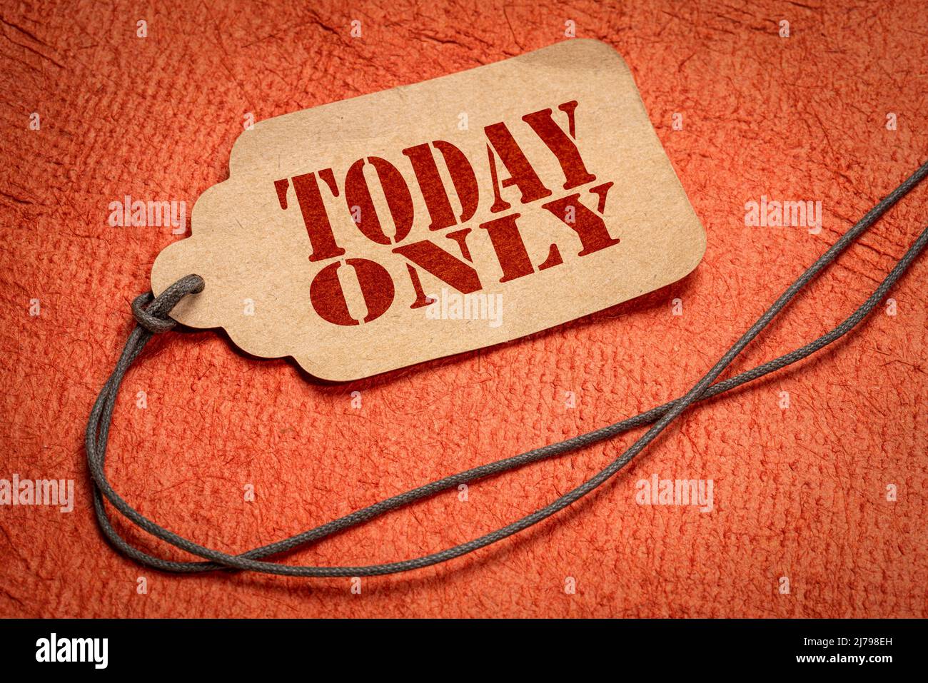 today only text on a paper price tag with a twine against textured bark ...