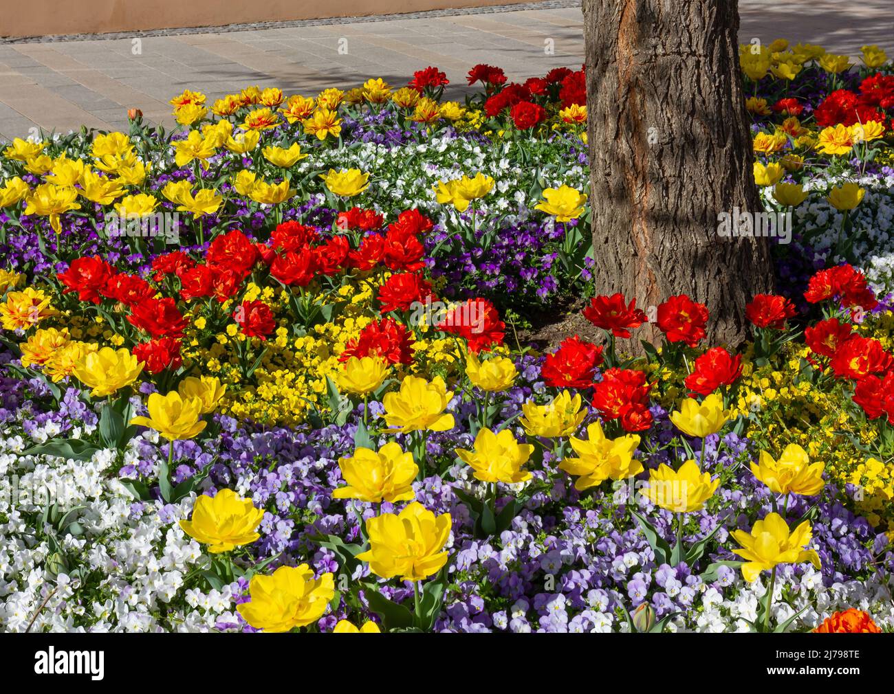 Urban flowerbed hi-res stock photography and images - Alamy
