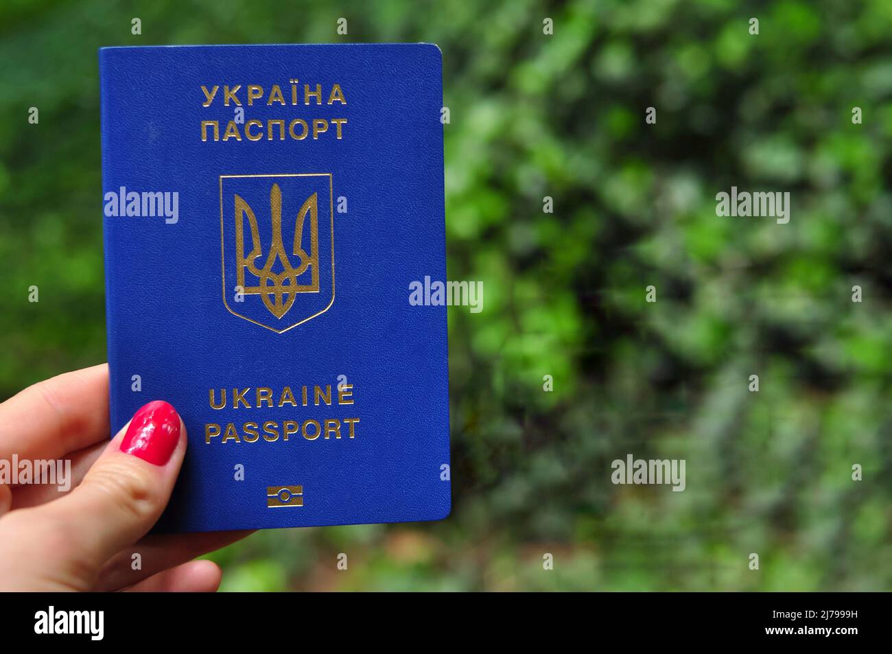 Biometric Ukrainian passport of refugee on green natural background ...