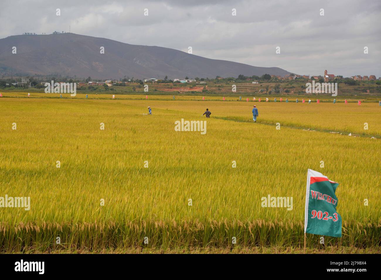 (220507) -- ANTANANARIVO, May 7, 2022 (Xinhua) -- Photo taken on May 6 ...