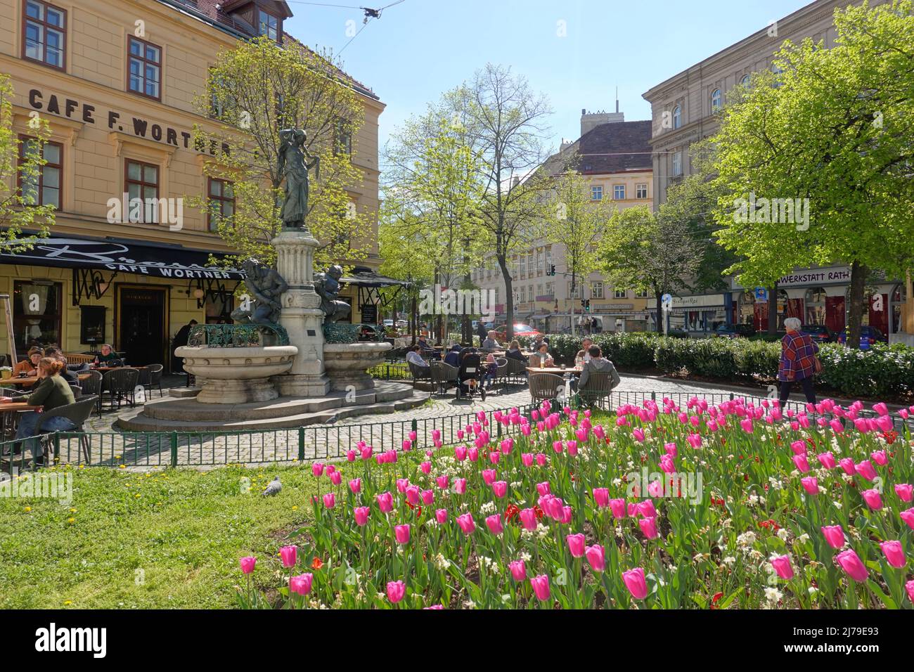 Wien, Wiedner Hauptstraße, Cafe Wortner, Tulpenbeet Stock Photo - Alamy