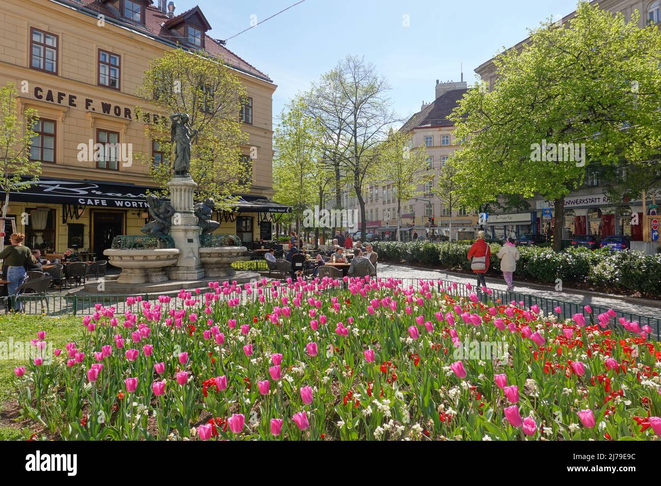 Wien, Wiedner Hauptstraße, Cafe Wortner, Tulpenbeet Stock Photo - Alamy