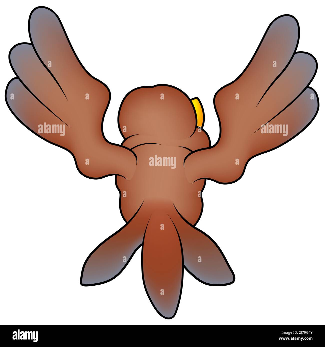Bird rear view Stock Vector Images - Alamy