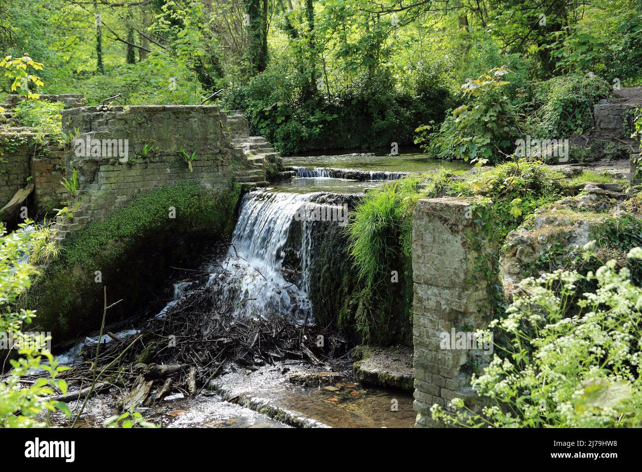 Minnis lane hi-res stock photography and images - Alamy