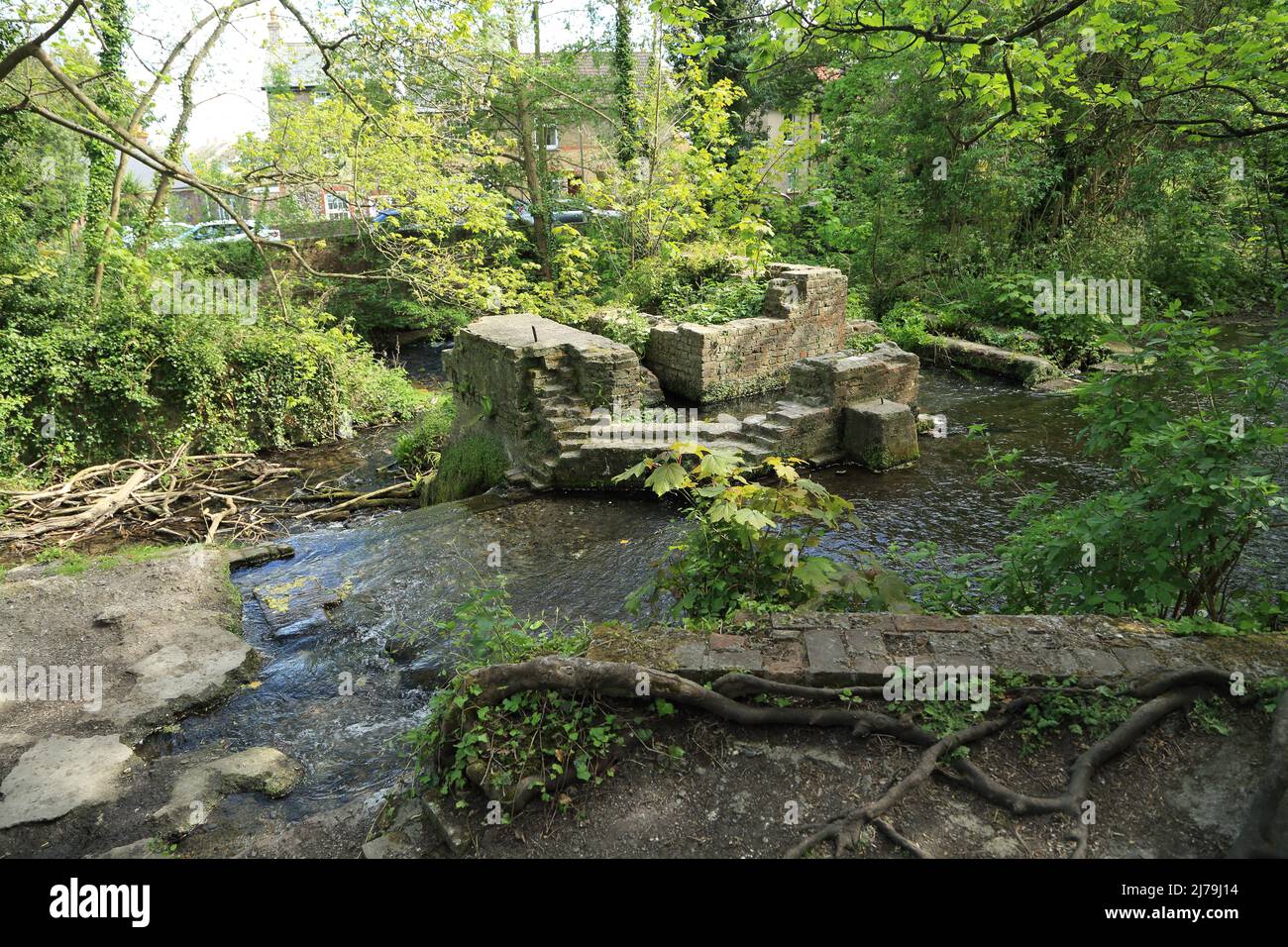 Minnis lane hi-res stock photography and images - Alamy