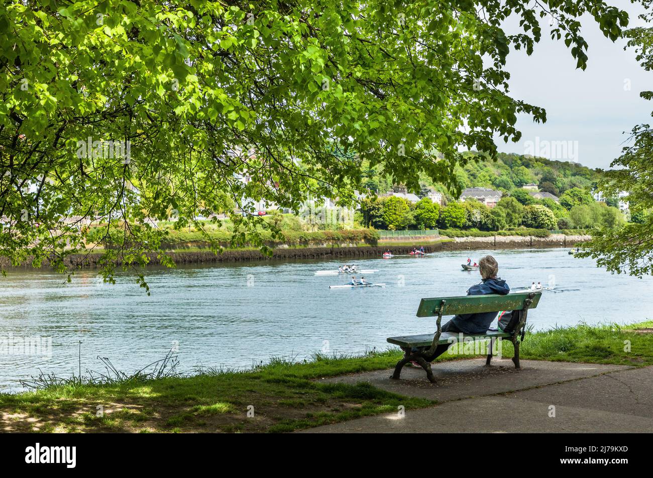 Limerick boat club hi-res stock photography and images - Alamy