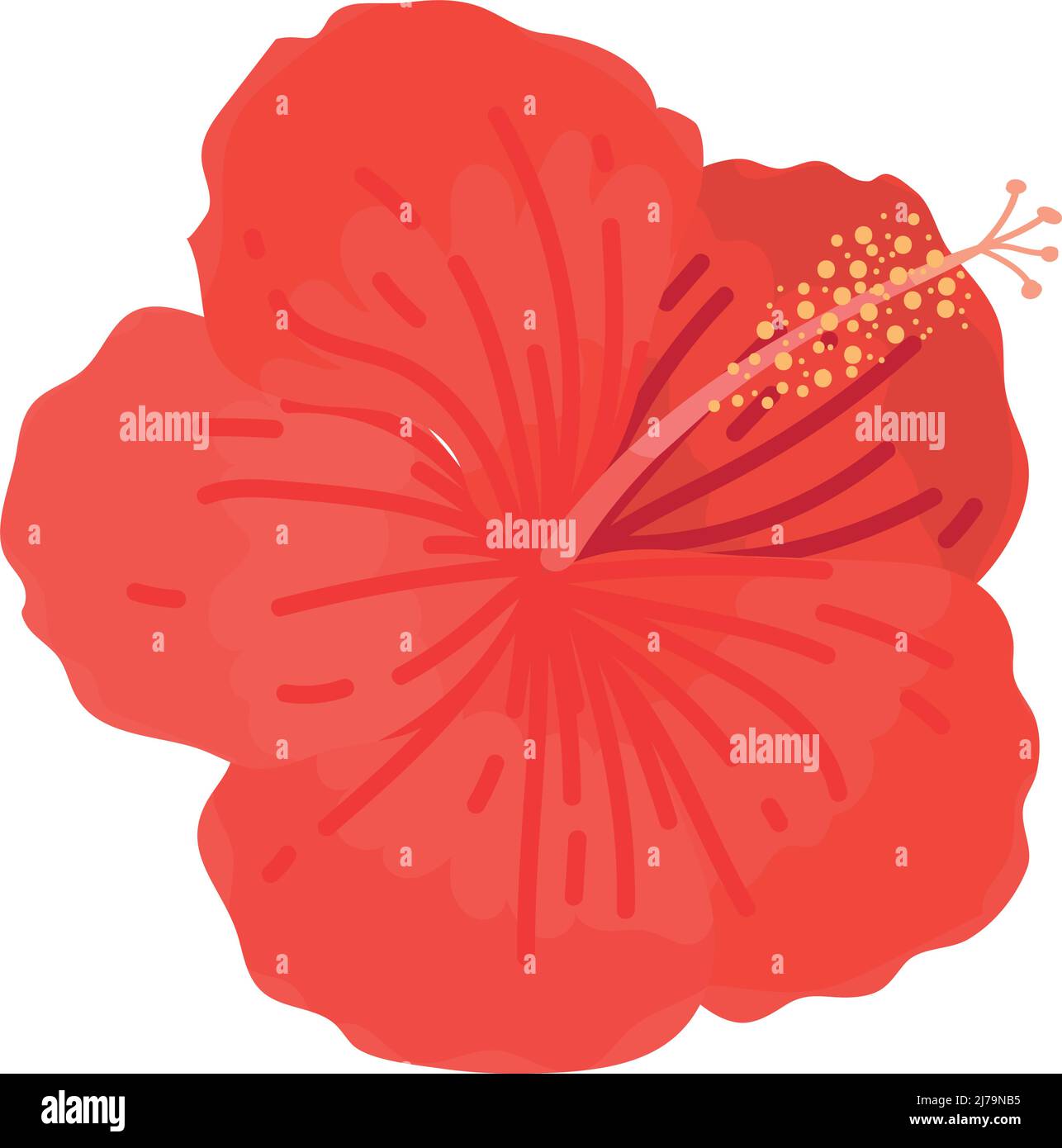 hibiscus flower icon Stock Vector Image & Art - Alamy