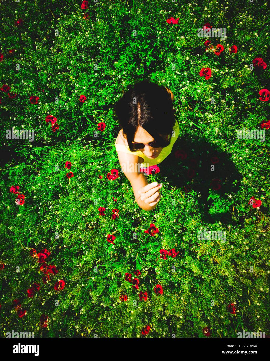 Young Caucasian woman pick poppy flower and smell outdoors. Concept ...