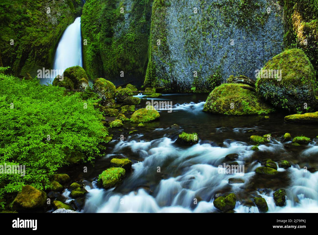 Blue waterfall flowing down into a green valley filled with rocks and ...