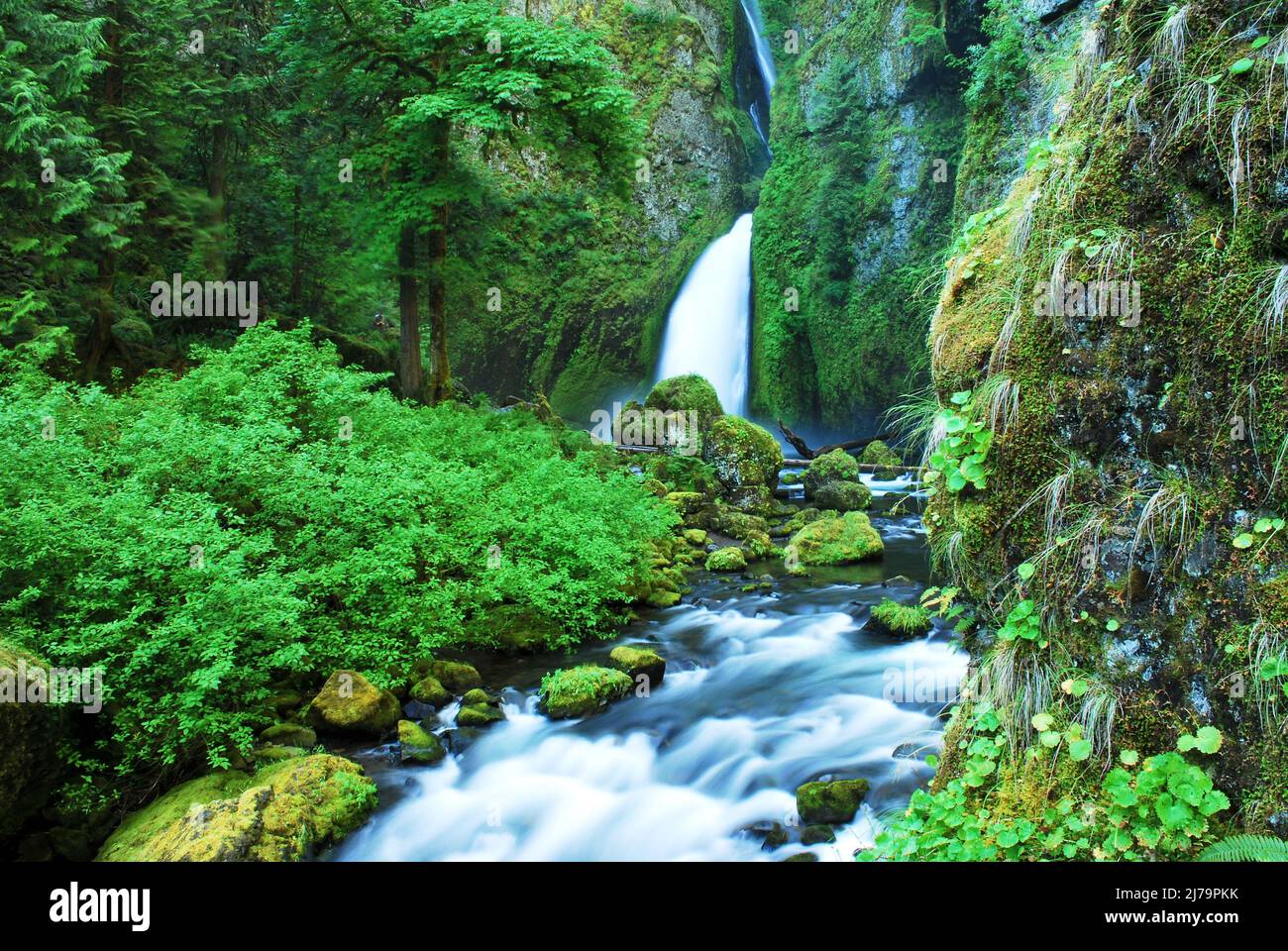 Blue waterfall flowing down into a green valley filled with rocks and ...