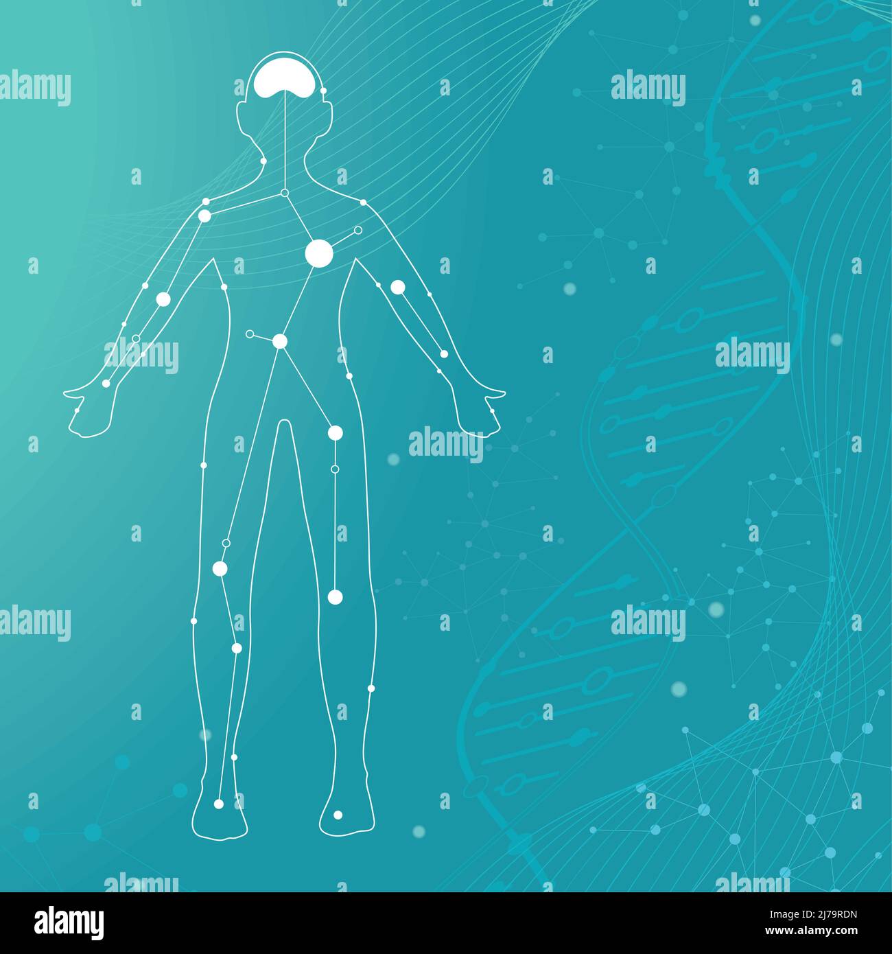 healthy body brain connected Stock Vector Image & Art - Alamy