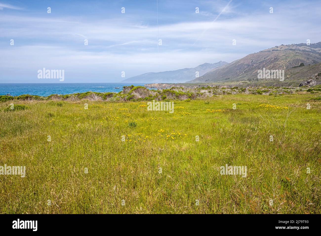 Meadow above Sand Dollar Beach. Big Sur, California, USA Stock Photo ...