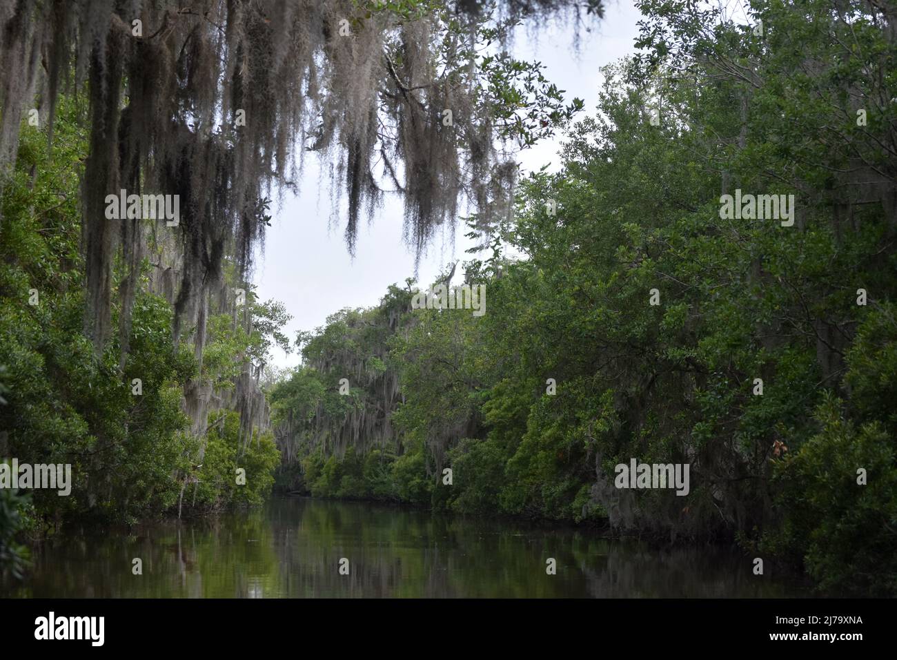 Navigating narrow channel hi-res stock photography and images - Alamy