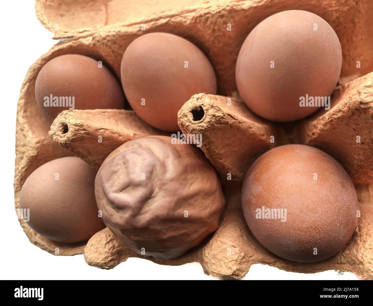 an unusual shaped egg because of a disease Stock Photo - Alamy